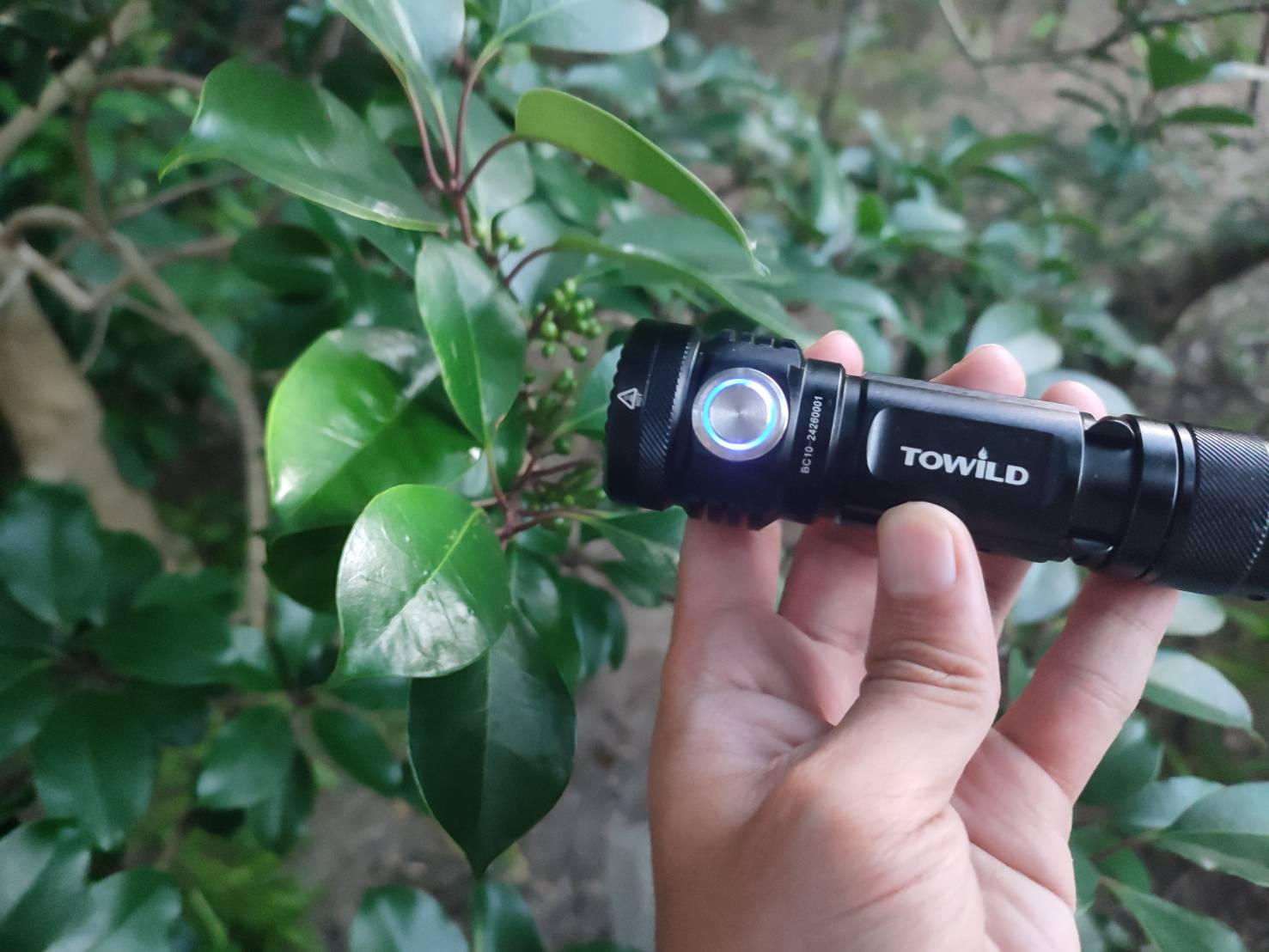 【評判・口コミ】TOWILDの実力は？最新ライト「BC10-EDC」で検証レビュー | ヤマノブログ